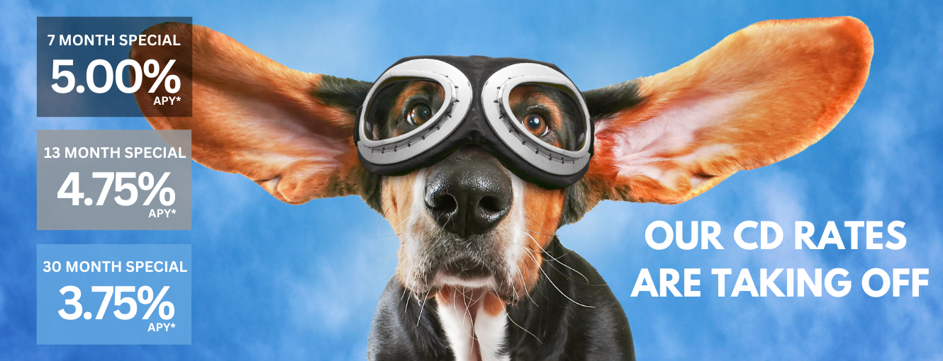 Certificate of Deposit Special › Park State Bank